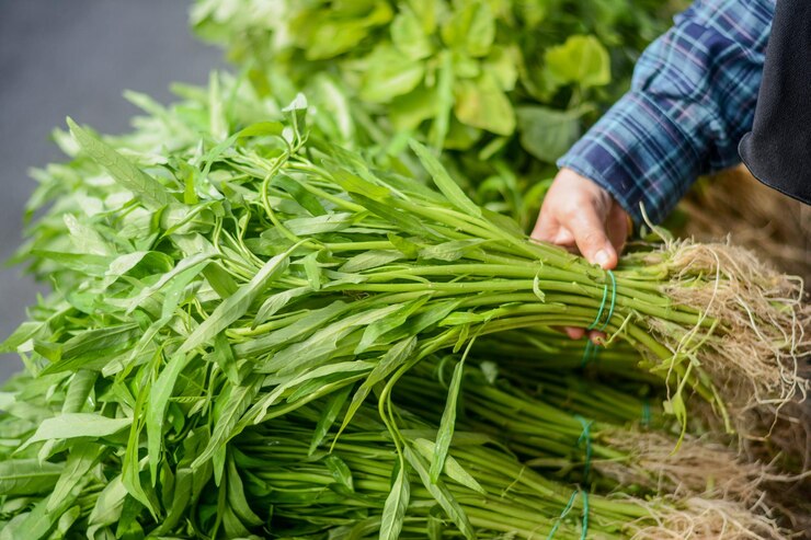 Villa Ternak Cilegon - Agrowisata Minimalis & Edukasi